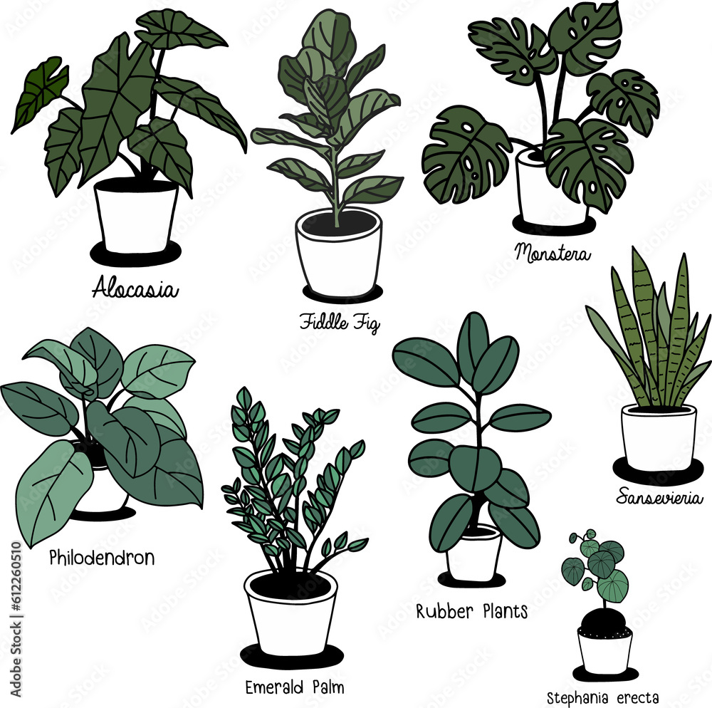 Hand drawn house plants in pots. Png clipart isolated on transparent ...
