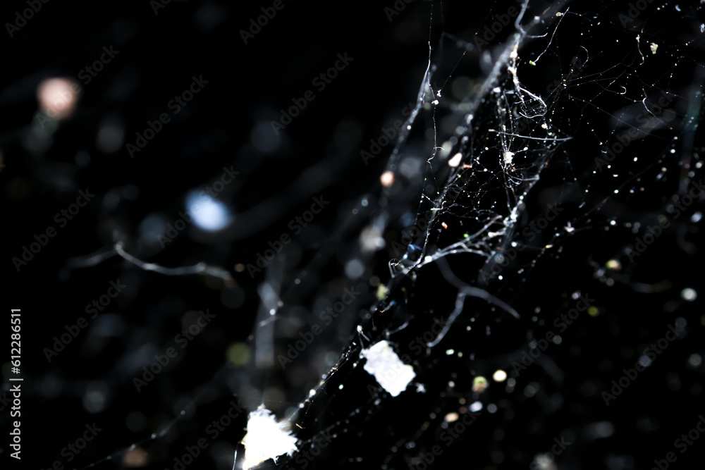 Messy spider web close up on black background. High contrast macro ...