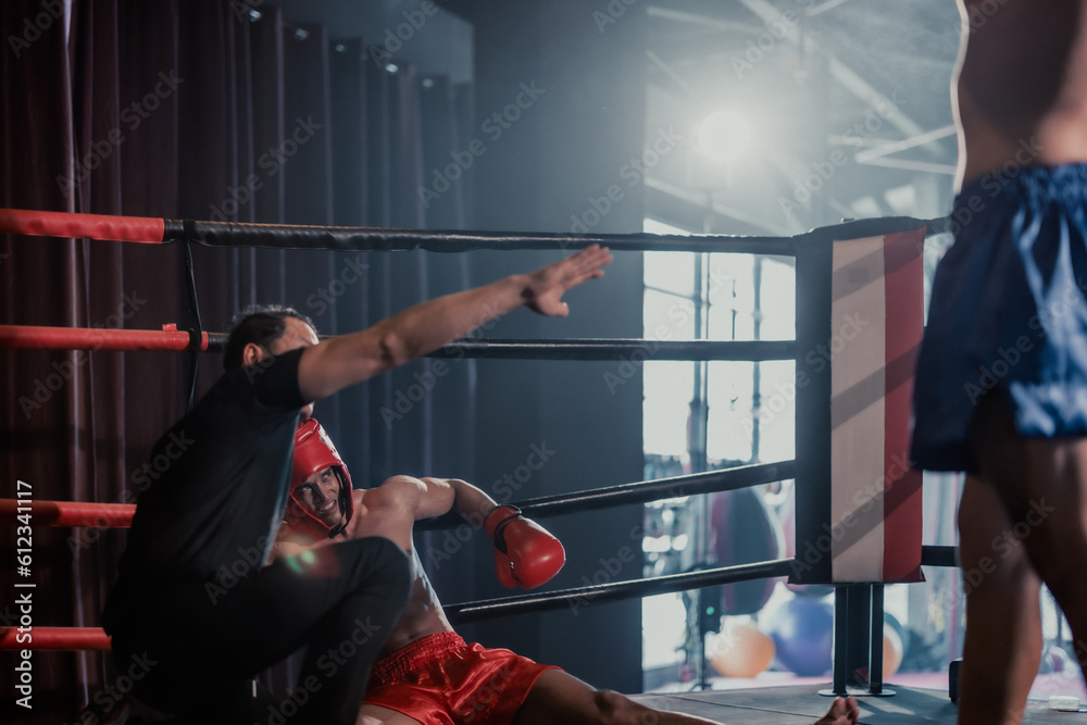 The referee's role in a boxing match is to enforce rules during each ...