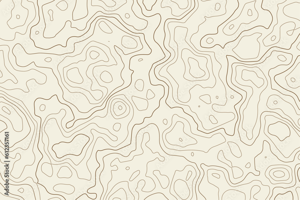 Topographic Map Vector Patterns. Topographic Maps can be used as ...