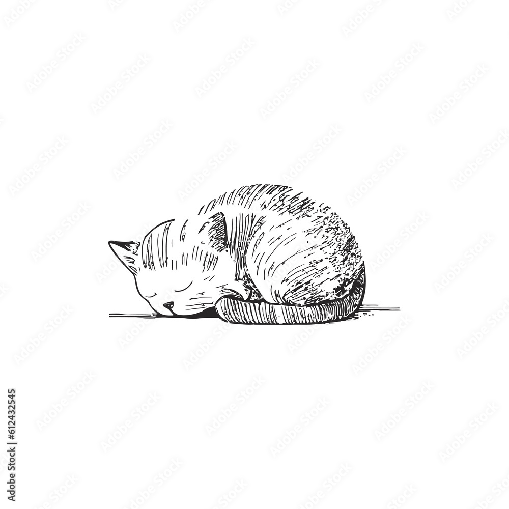 Black cute cat sleeping curled up in a ball in cartoon style. Vector ...