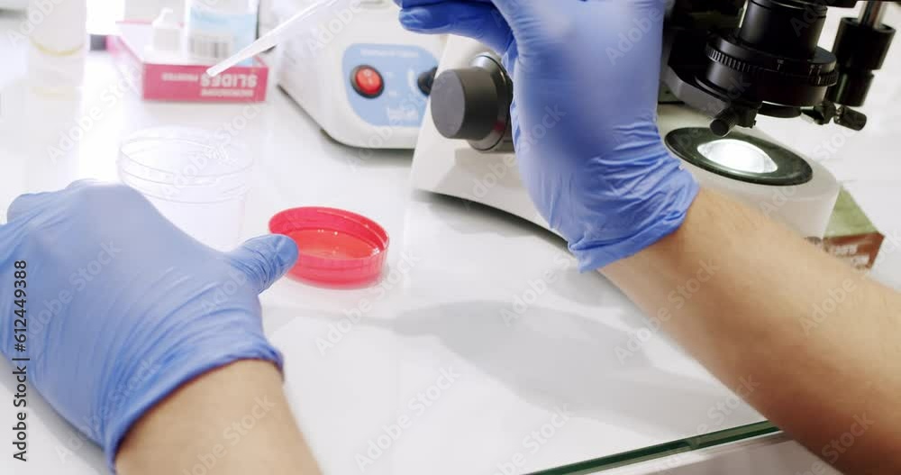 The doctor examines the sperm samples under a microscope. Scientist in ...