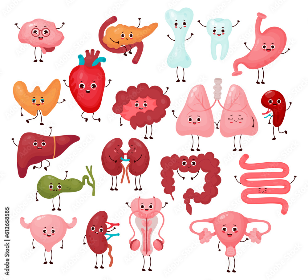 Big collection cute human cartoon organs. Isolated vector flat funny ...