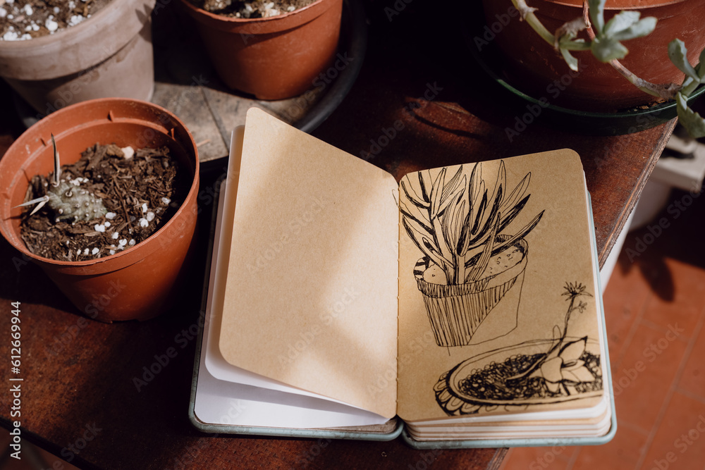 Plants drawing sketchbook Stock Photo | Adobe Stock