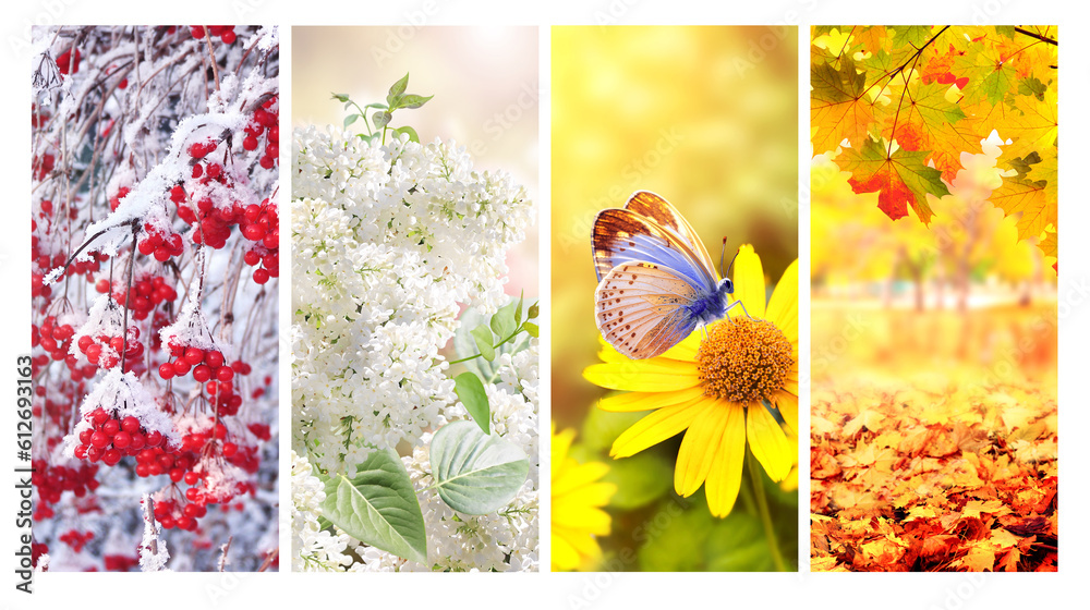 Four seasons of year. Set of vertical nature banners with winter ...