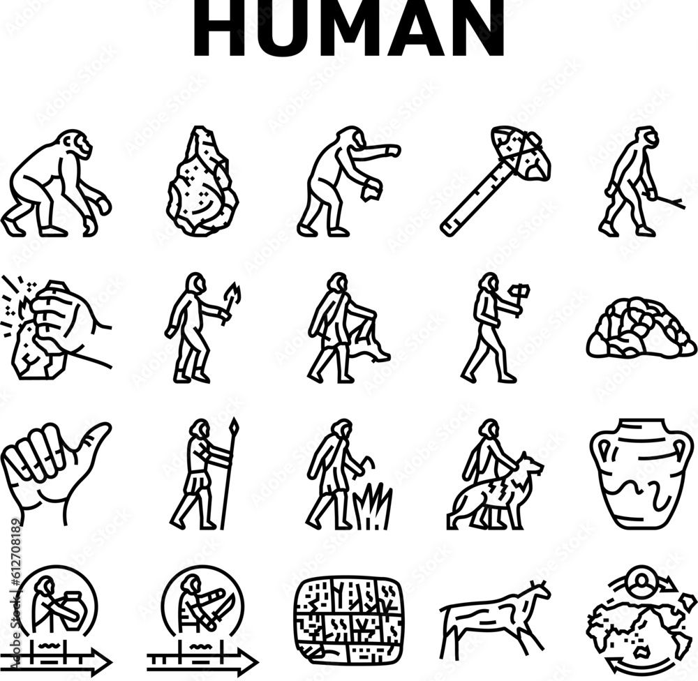 human evolution man caveman icons set vector. monkey evolve, ape darwin ...