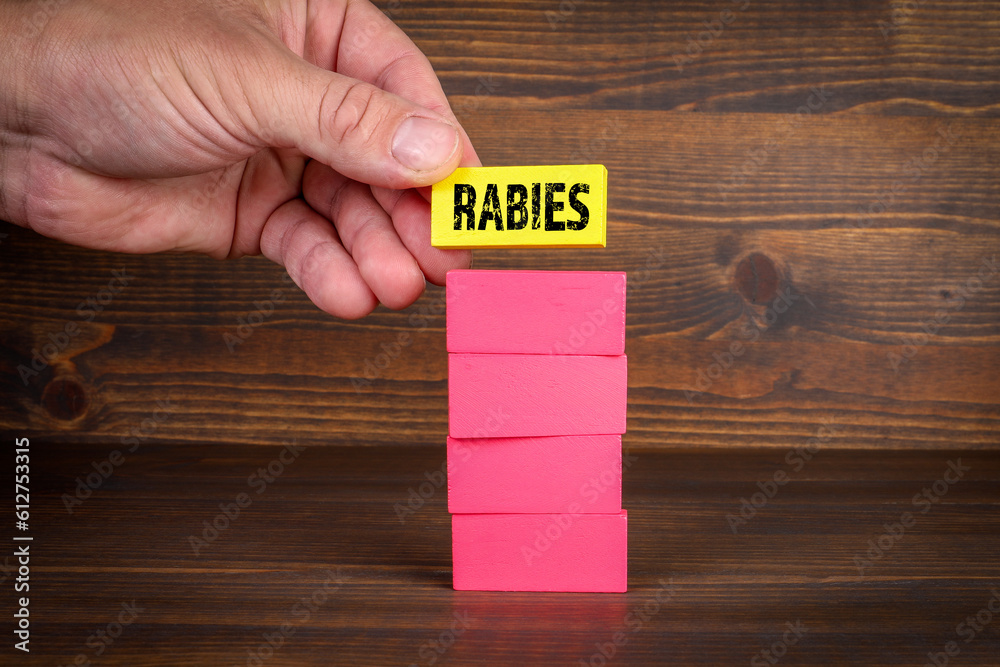 Rabies, health and disease concept. Colorful blocks on a wooden texture ...