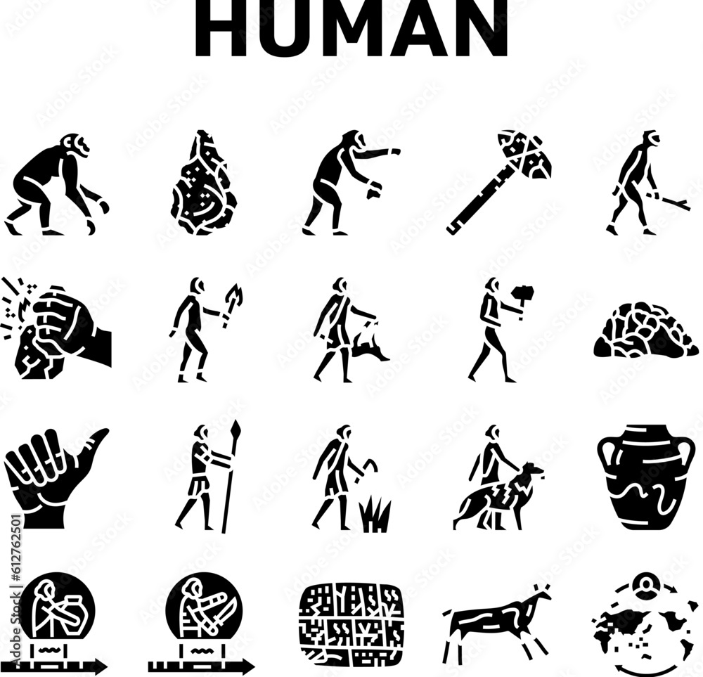 human evolution man caveman icons set vector. monkey evolve, ape darwin ...