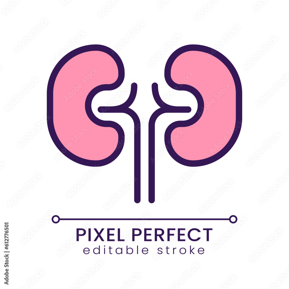 Kidneys pixel perfect RGB color icon. Urinary system checkup. Organ ...