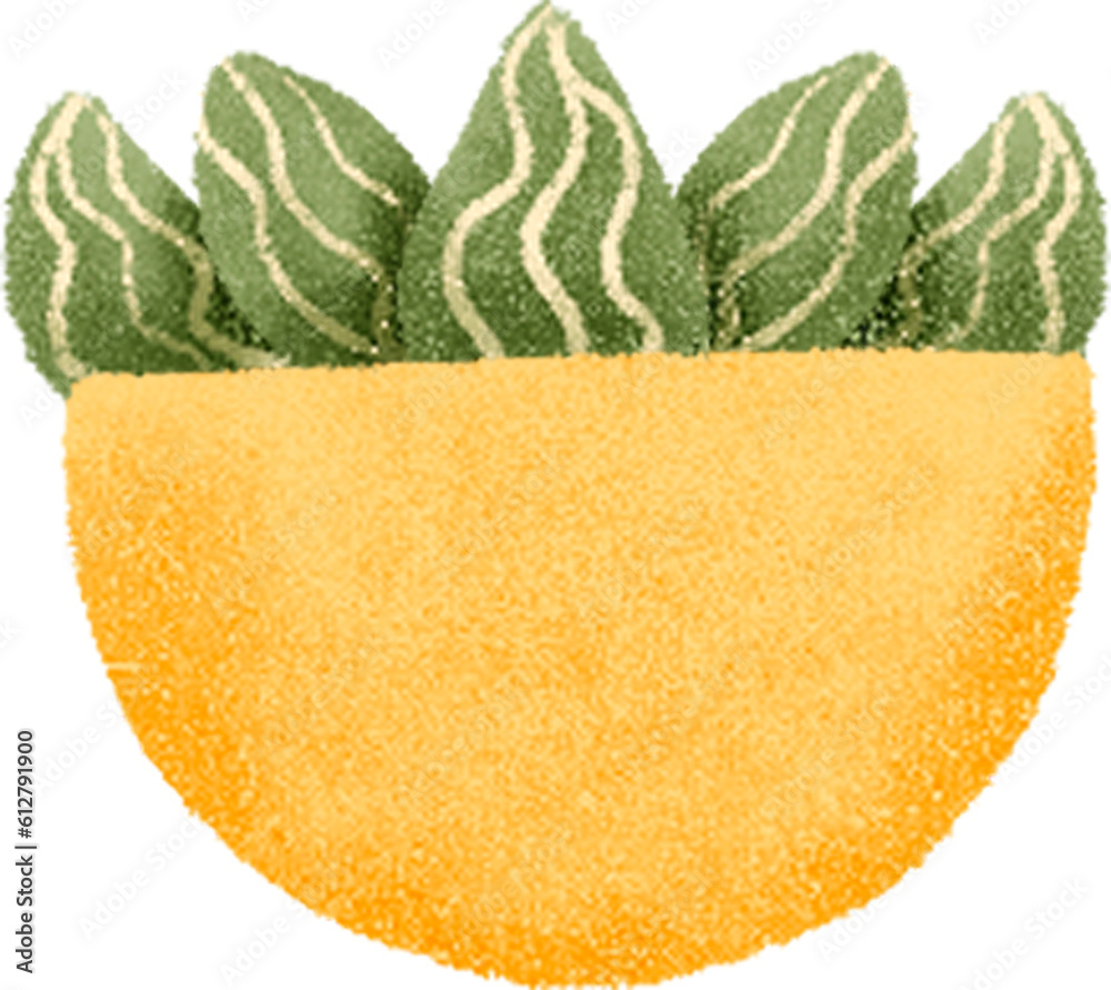 Collection of potted plants. Succulents and house plants. Hand drawn ...