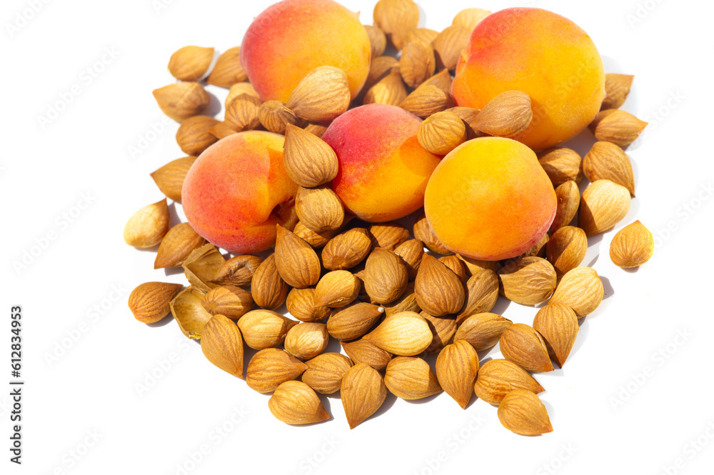 Apricot kernel. Refined apricot kernel oil is used as a flavoring in ...