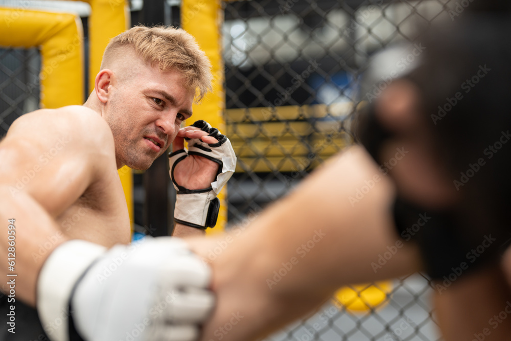 Athletes men boxers MMA fighter fight in a cage boxing ring octagon ...