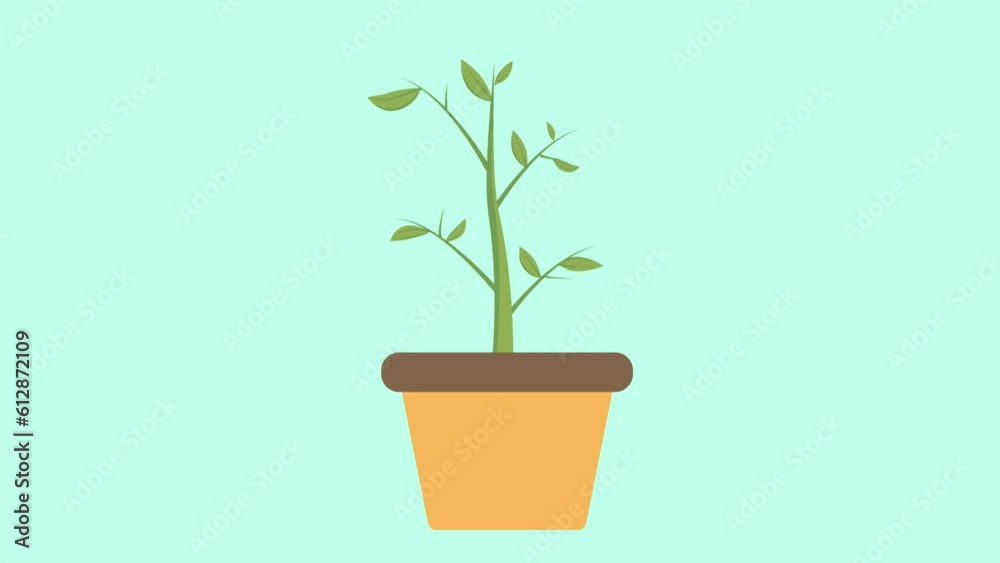save earth tree animated tree seeds growing in pots animated save ...