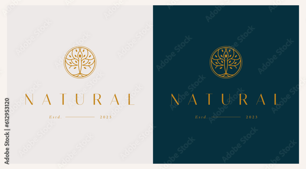 Olive tree logo. Extra virgin olive oil label icon. Tree of life symbol ...