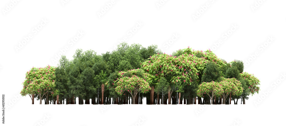 group of trees isolated on a transparent background, big trees in the ...