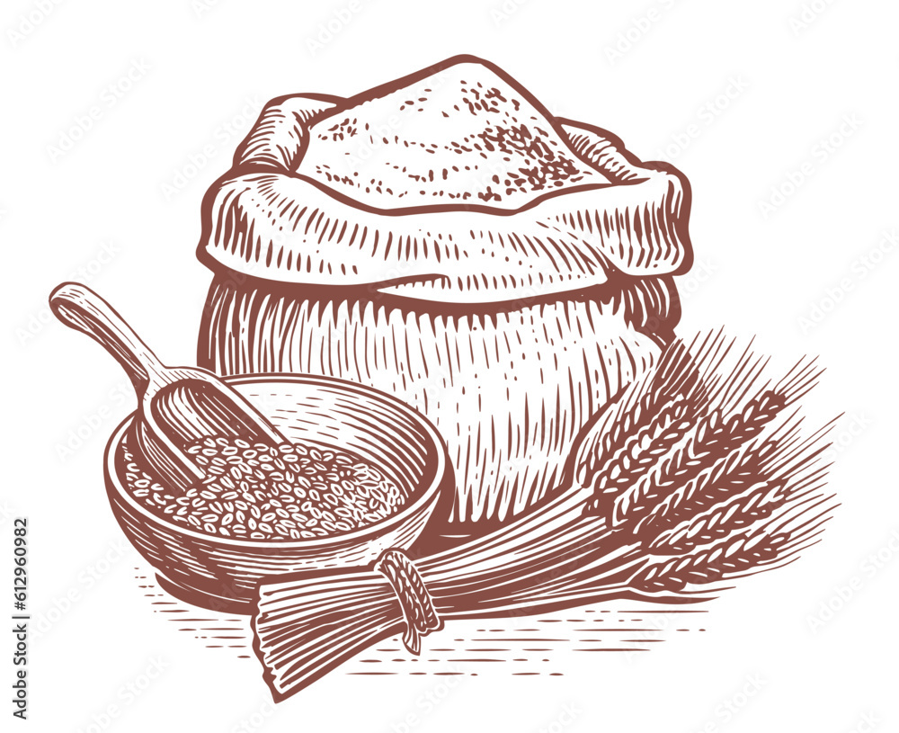 Poster Farm food sketch vector illustration – Wall Art | UkPosters