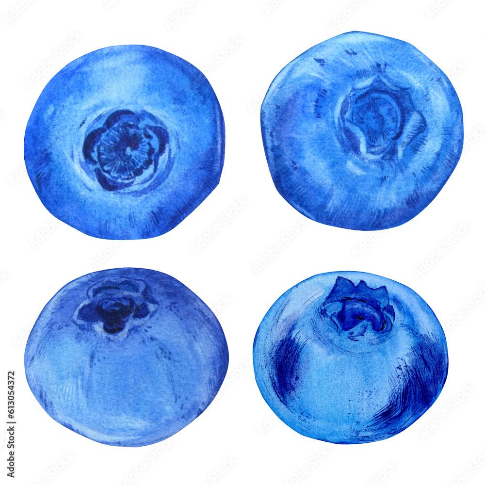 Blueberries, close-up. Dark blue berries. Watercolor set isolated on ...