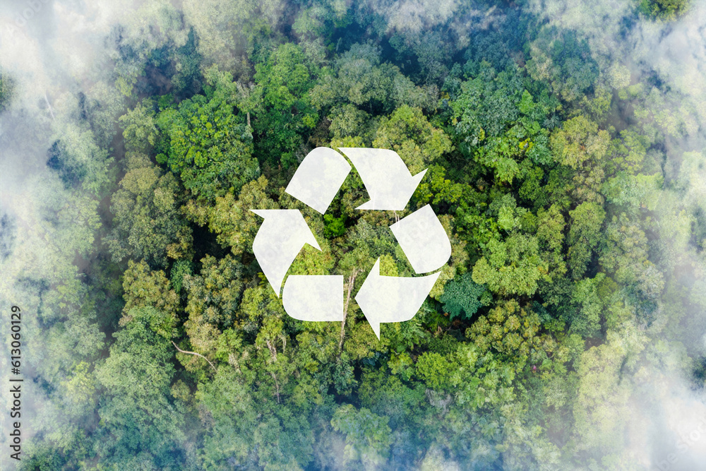 Recycle symbol on the forest background . Ecological concept. Ecology. Recycle and Zero waste ...