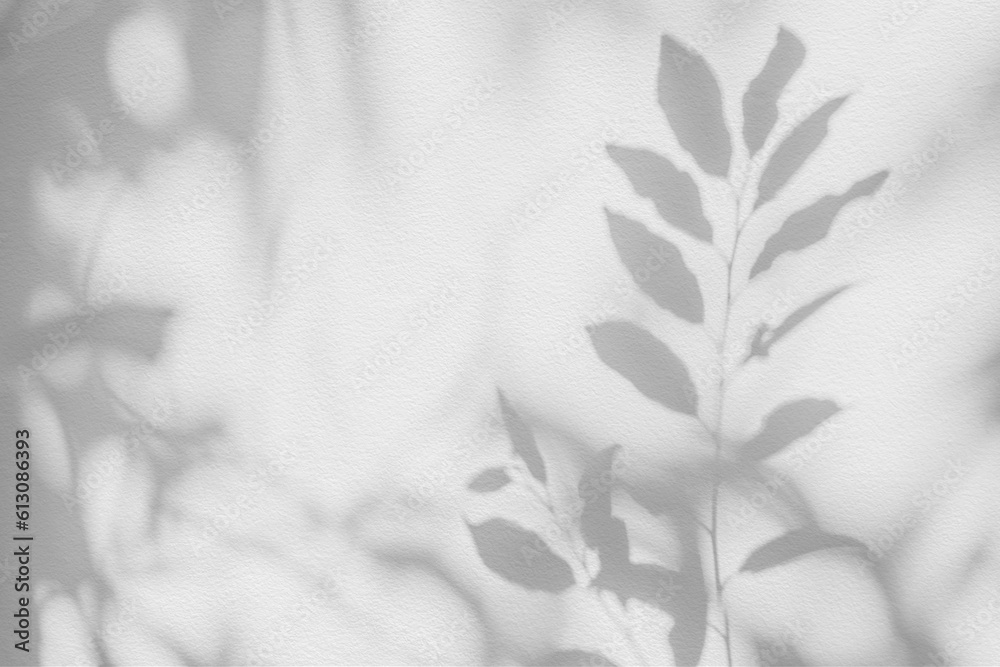 Shadow and sunshine of leaf reflection. Jungle leaves tree gray ...