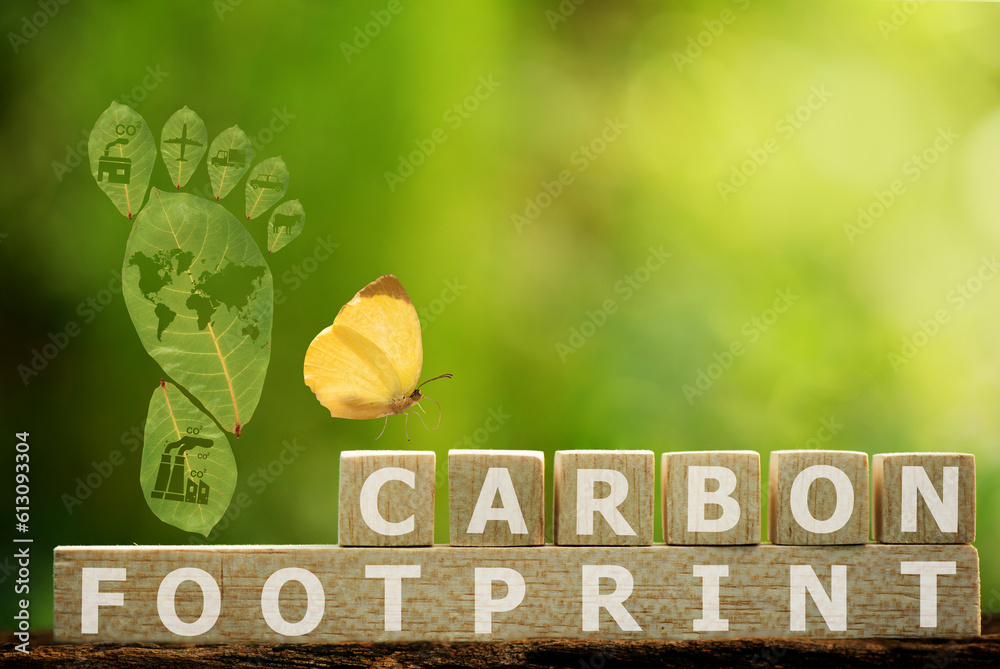 ..CARBON FOOTPRINT text in wood on nature background and icon.Carbon ...