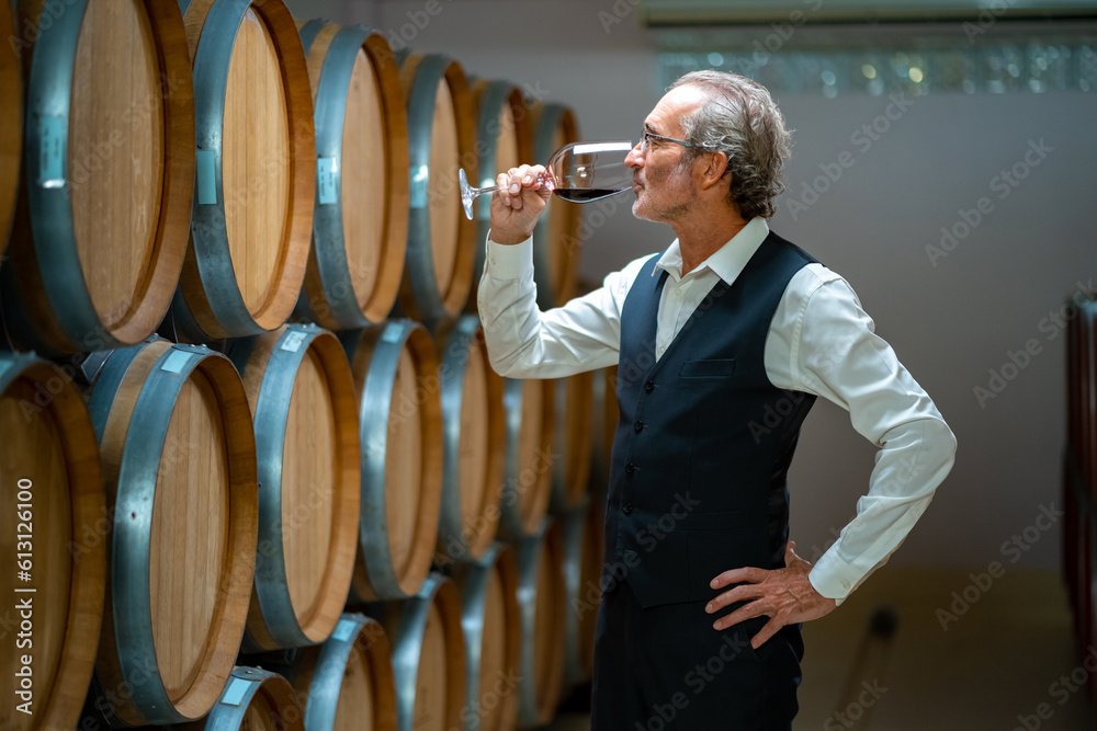 Foto de Professional man sommelier testing red wine in wine glass with ...