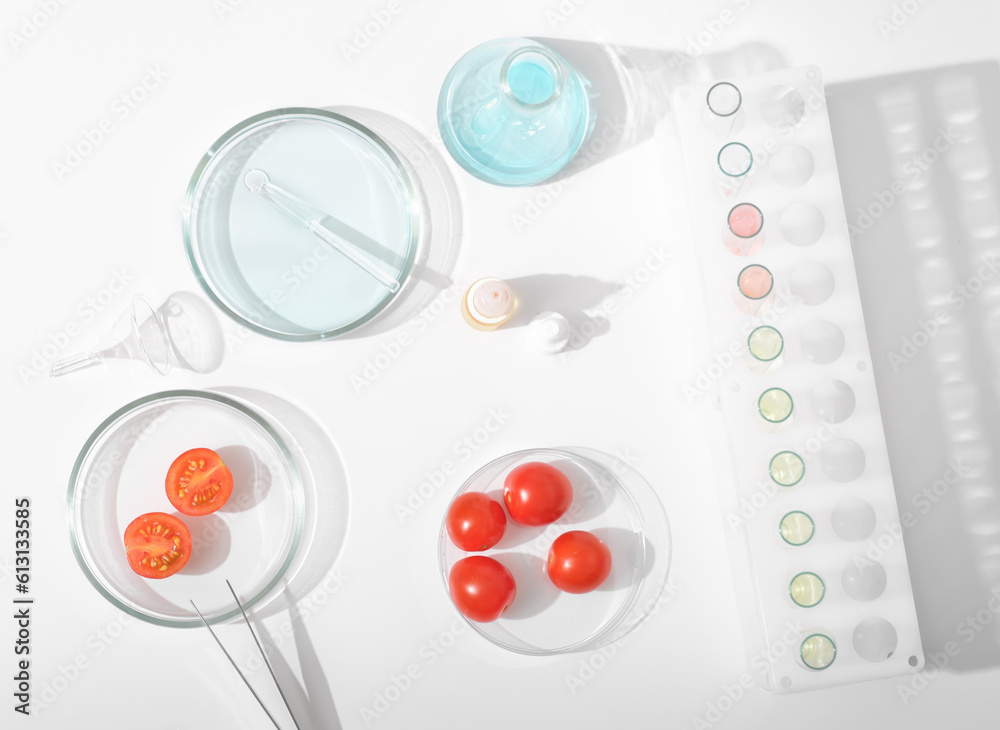 tomatoes in a petri dish on a laboratory table. lab glassware, test ...