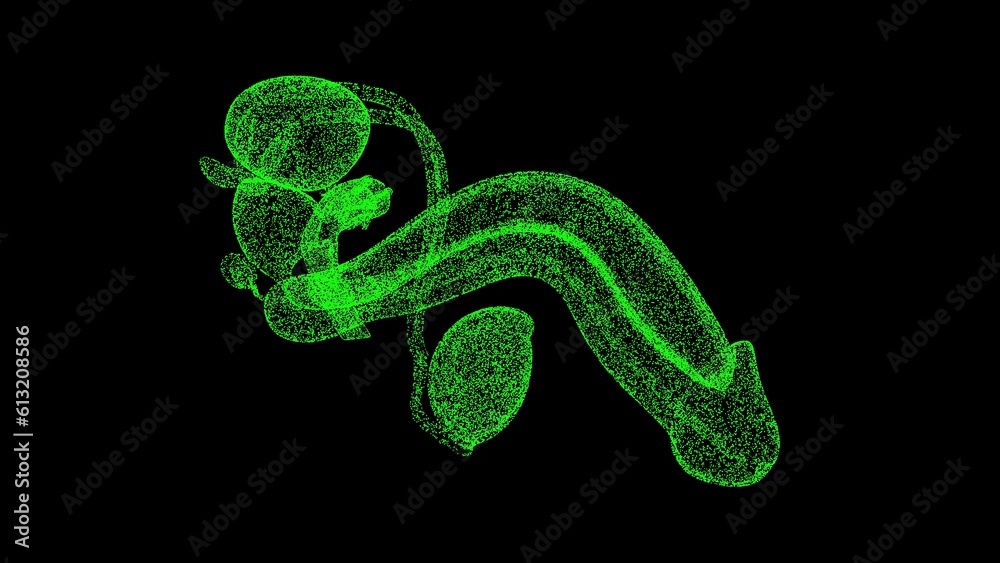 3D Male and female genitals on black bg. Reproductive system human body ...