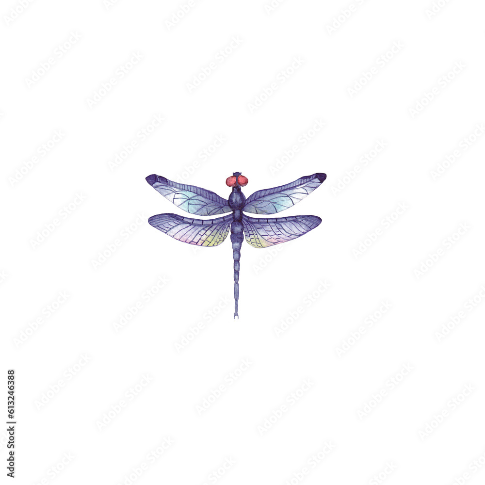 Watercolor drawing of a purple dragonfly on a transparent background ...