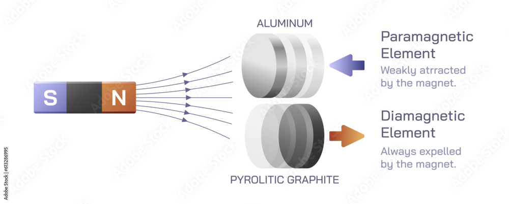 Ferro, ferri, dia, paramagnetic force vector illustraiton. Aligned ...