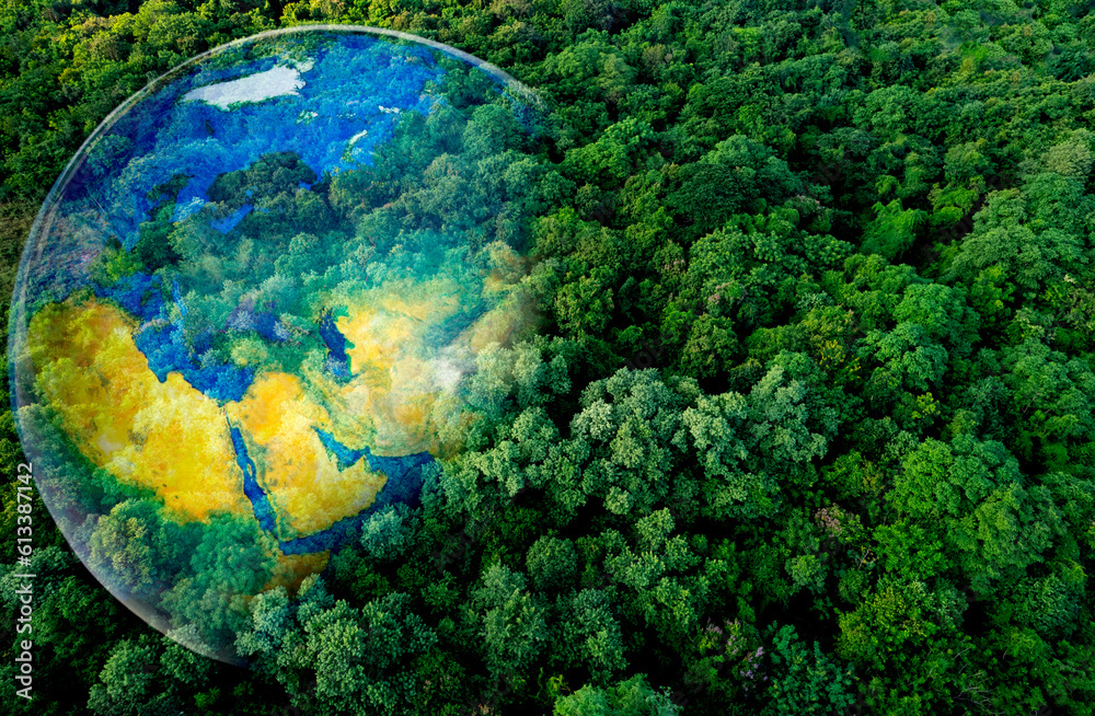 Aerial view of the green forest against the land. Demonstrates the ...