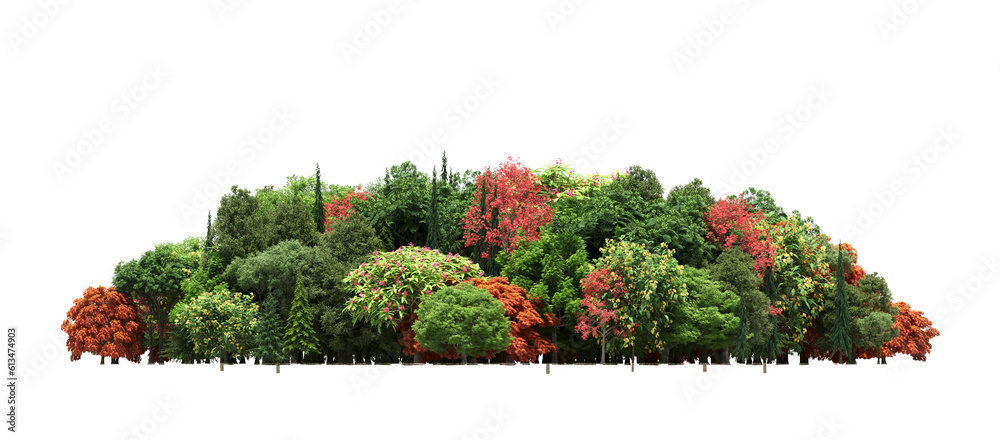 group of trees isolated on a transparent background, big trees in the ...