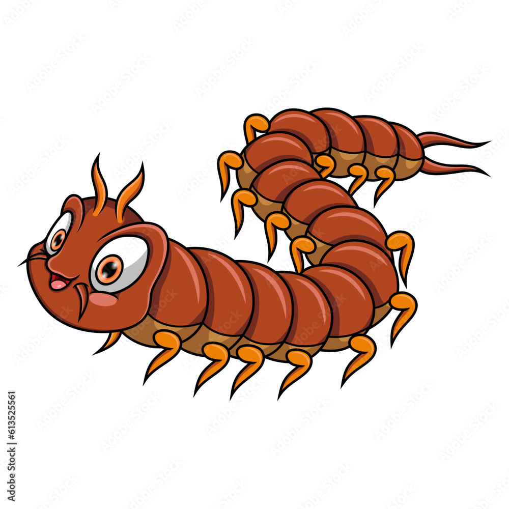 Cartoon centipede isolated on white background Stock Vector | Adobe Stock