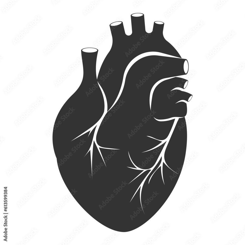 Human heart icon. Anatomically correct heart with venous system icon ...