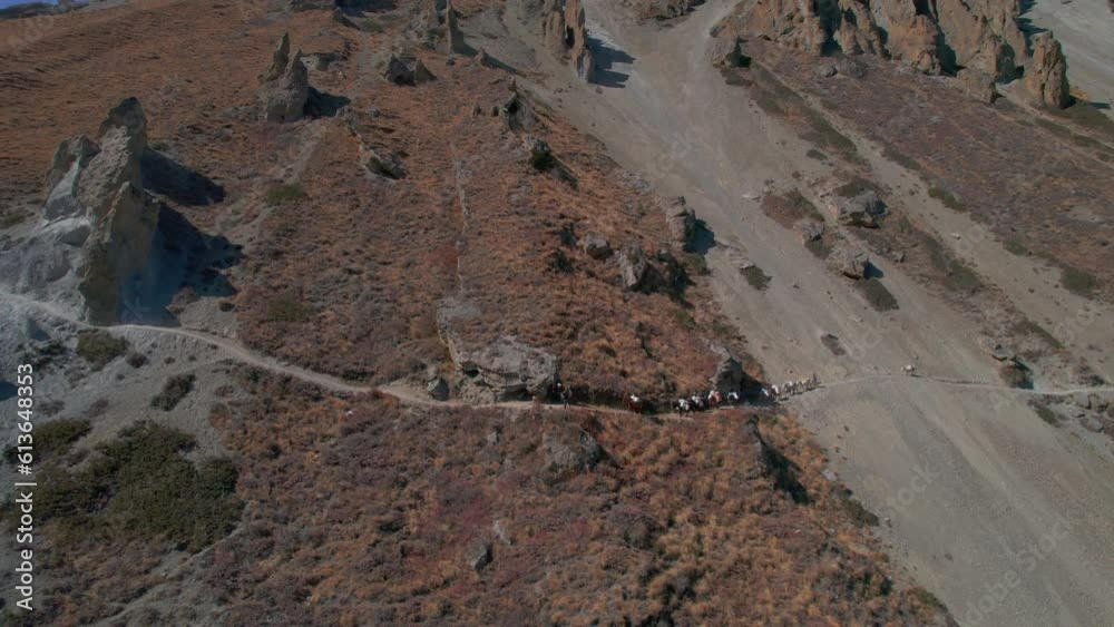 Birds eye view donkeys carriage with Nepalese sherpas on Tilicho base ...