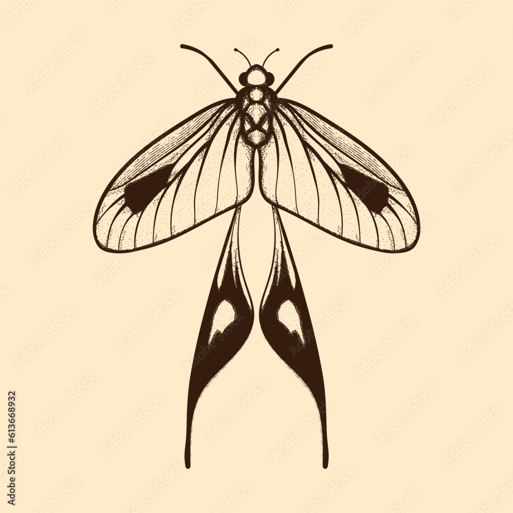 Vector moth, mystic symbol and signs. Witchcraft, occult, alchemical ...