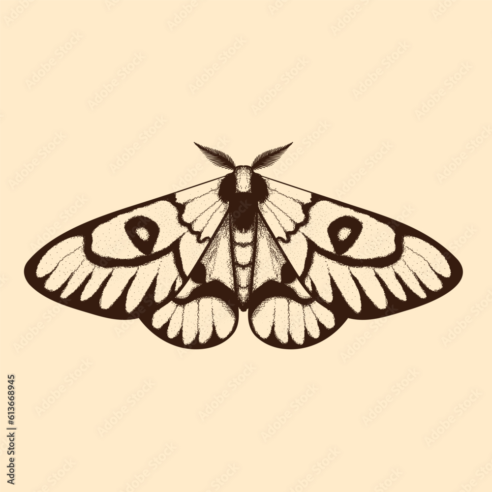 Vector moth, mystic symbol and signs. Witchcraft, occult, alchemical ...