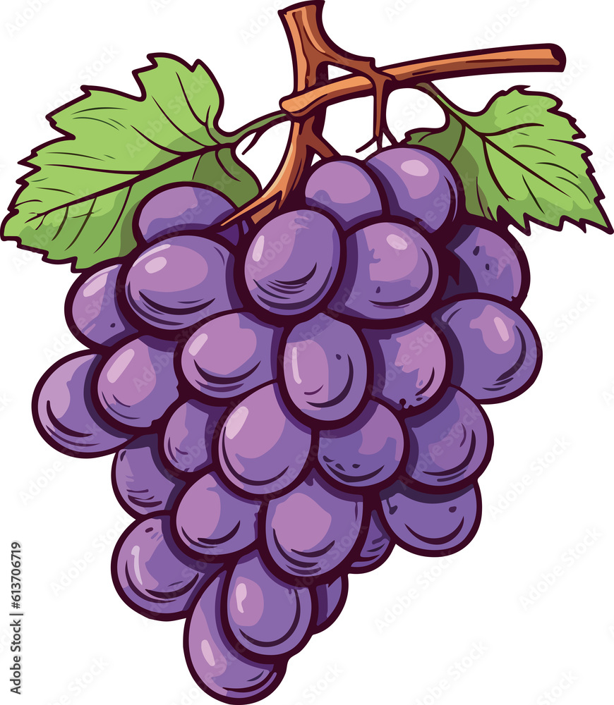 Hand drawn cartoon purple grapes on a pure white background color, hand ...