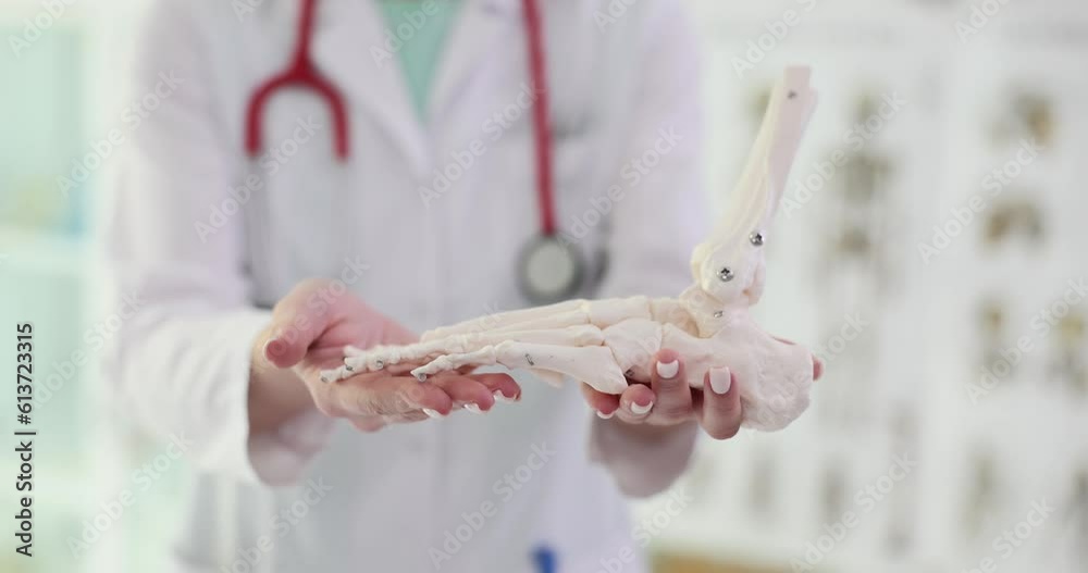 The doctor holds part of the skeleton of the human leg, close-up. Bone ...