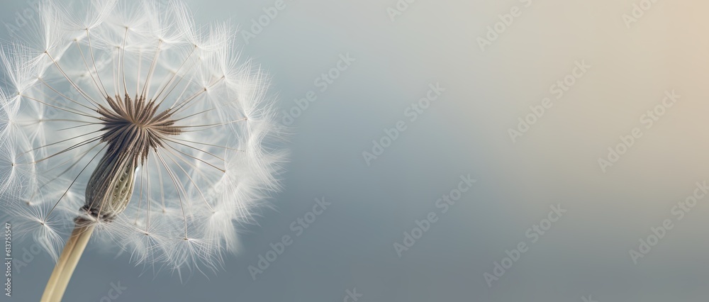 Condolence, grieving card, loss, funerals, support. Beautiful elegant ...
