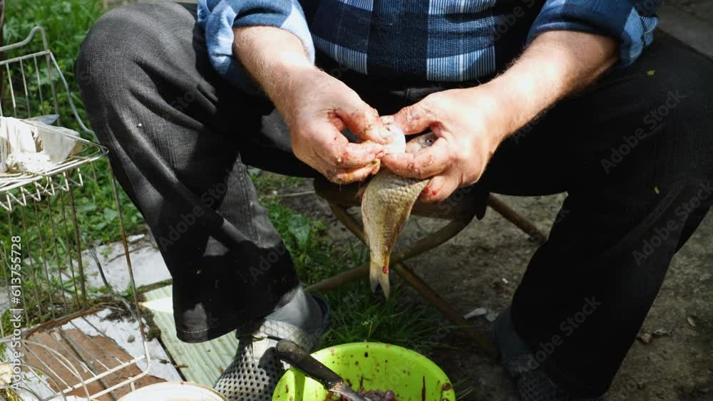 A man sitting outside is taking the insides out of a fish. Bowls of ...