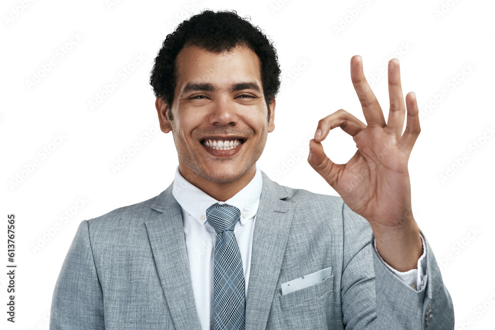 Ok sign, face and happy man for business isolated on transparent png ...