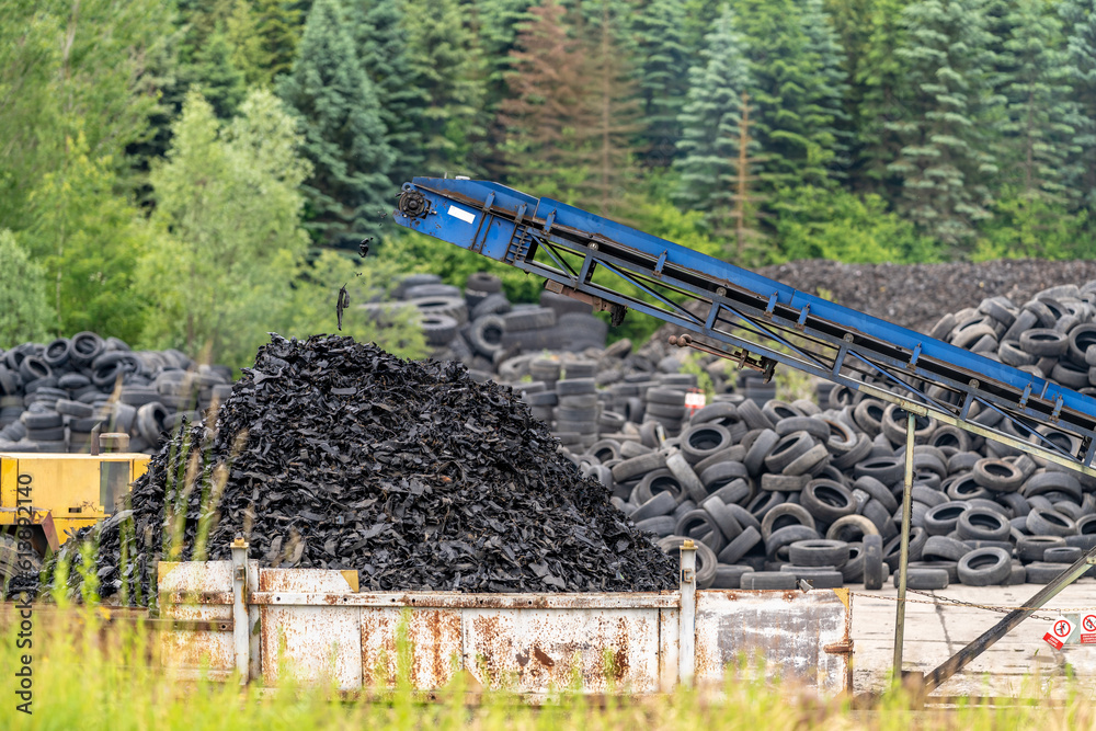 recycling and processing of old tires, crushed rubber go on a conveyor ...