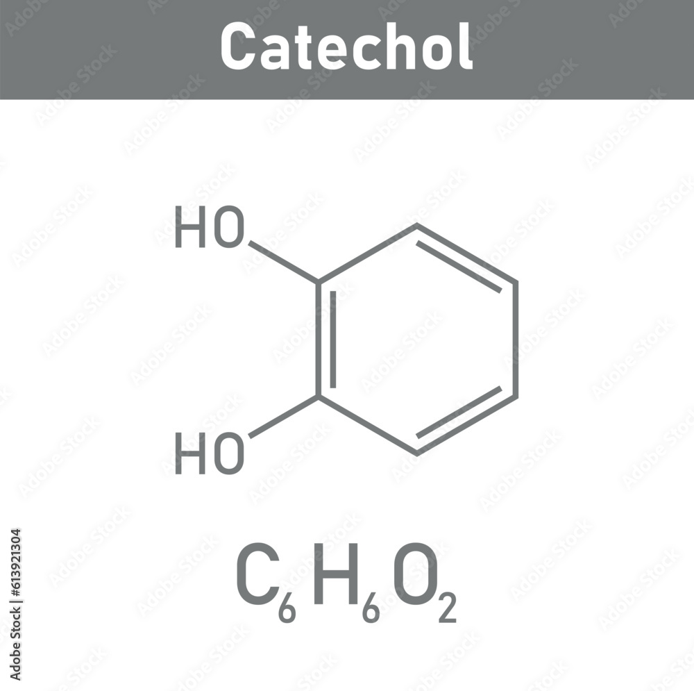 Chemical structure of Catechol (C6H6O2). Chemical resources for ...