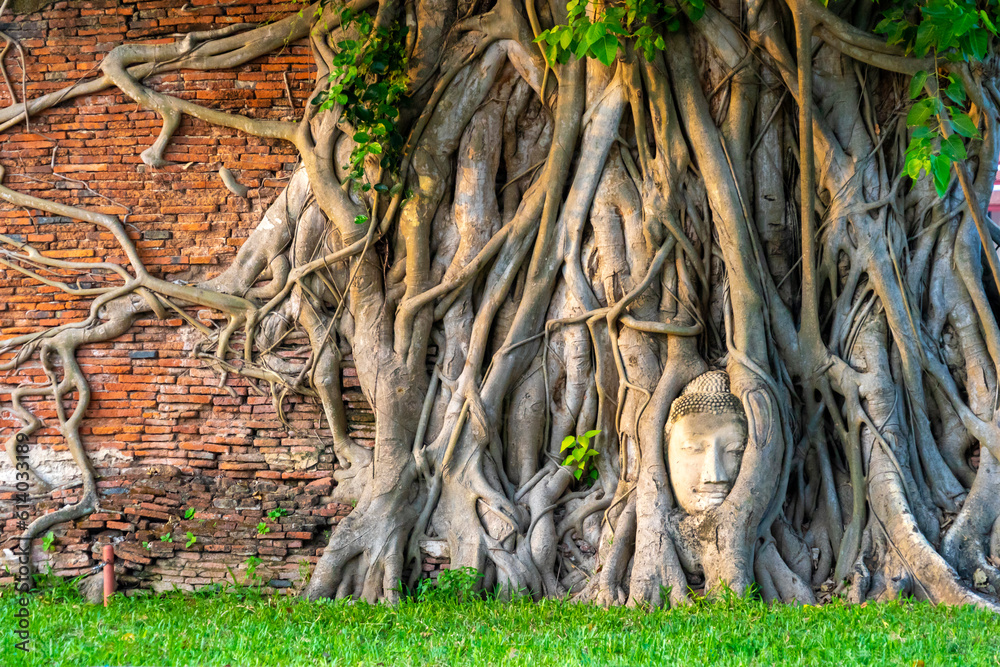 Buddha Head statue with trapped in Bodhi Tree roots at Wat Maha That ...