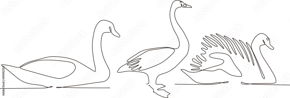 continuous line set canadian goose goose, .vector illustration, layer ...