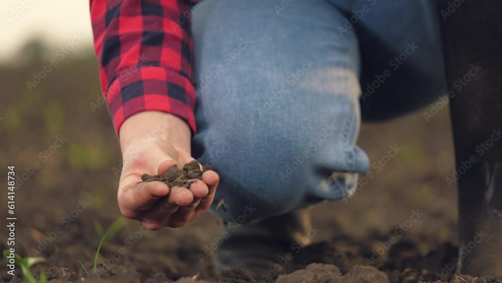 farmer working in tablet, hand holding earth soil soil, agriculture ...