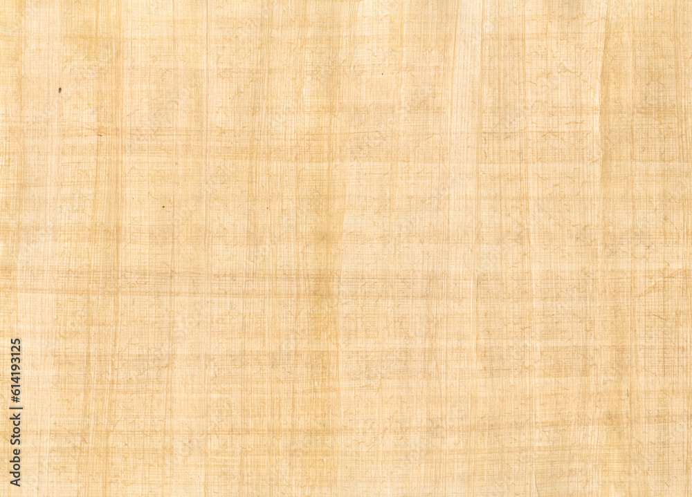 Old papyrus background texture Stock Illustration | Adobe Stock