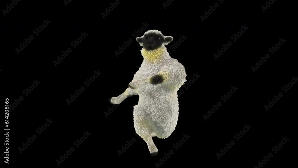 Sheep Dancing, Animal, 3d rendering, Animation Loop, cartoon, included ...