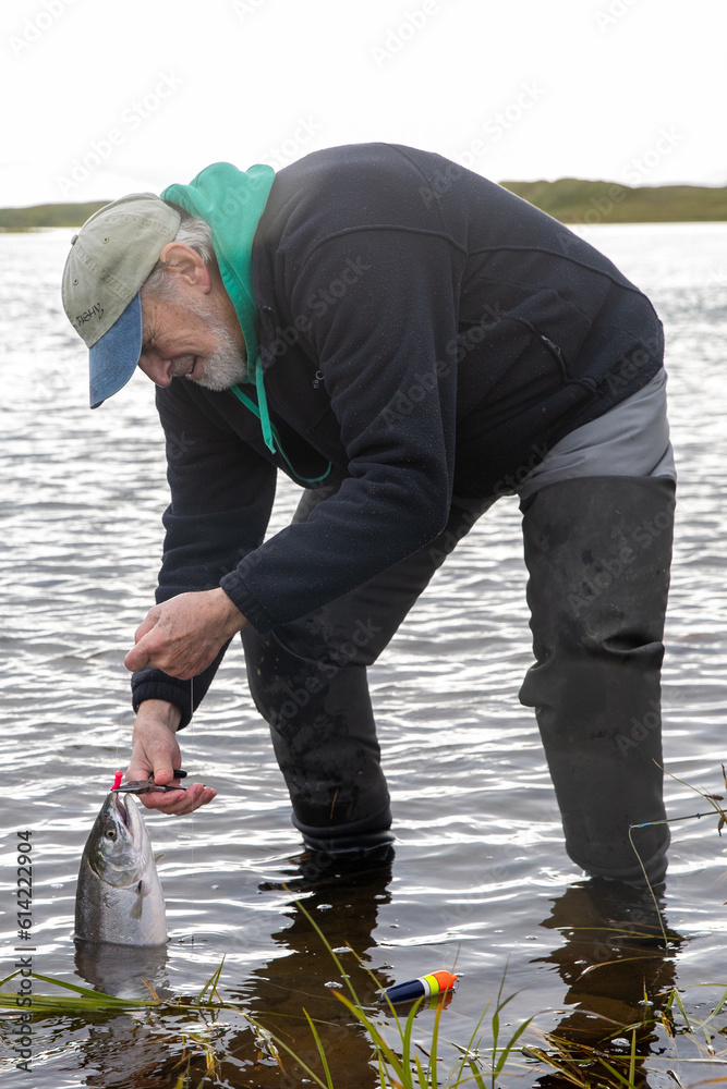 Mature man releasing coho salmon back to the Egegik river in Alaska. He ...
