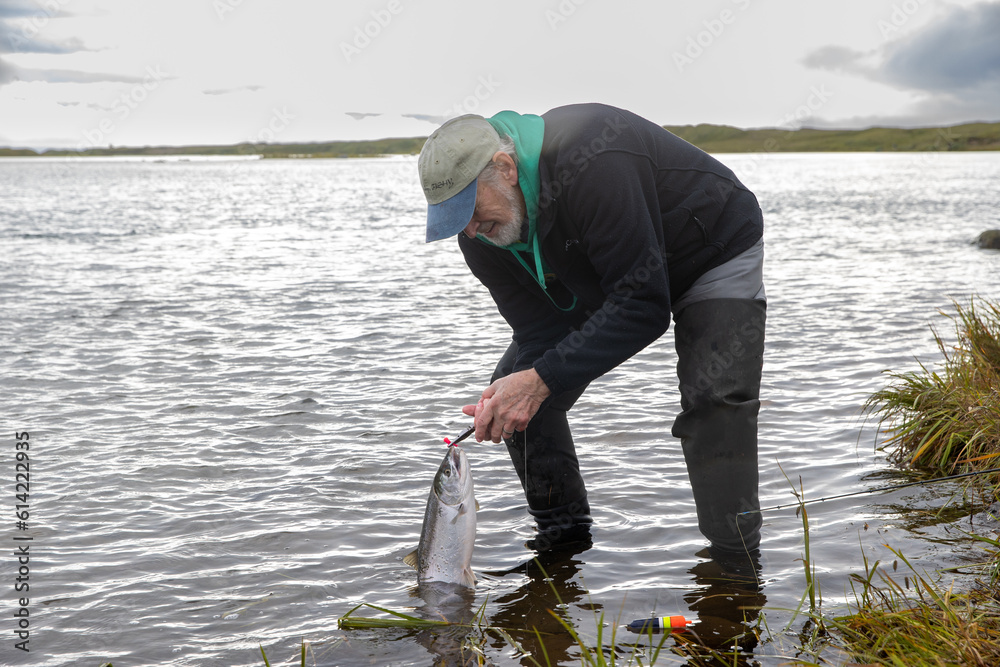 Mature man releasing coho salmon back to the Egegik river in Alaska. He ...